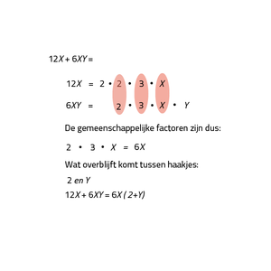 Slimleren - Ontbinden in factoren - meerdere gemeenschappelijke factoren